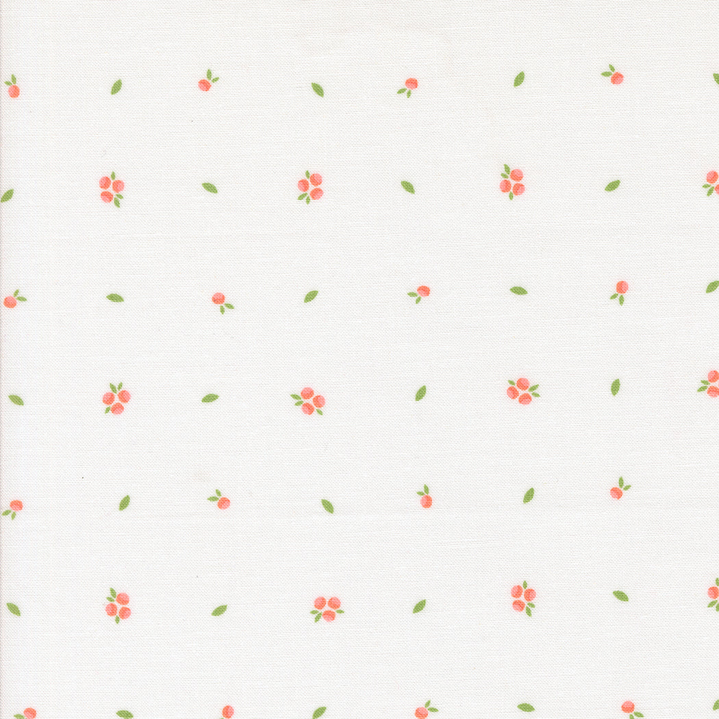 Abloom Little Sprout Cloud 29216 11 by Corey Yoder- Moda- 1/2 yard ...